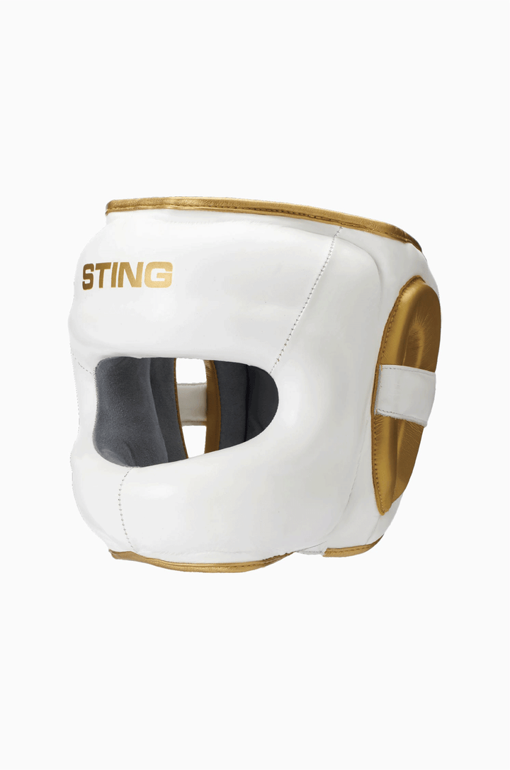Boxing Headgear | Boxing Head-guards & Helmets – Sting Sports Canada ᵀᴹ